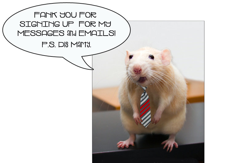 Thank You! – Marty Mouse House