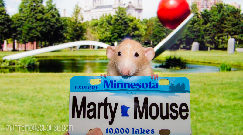 Marty’s Minnesota Bizness – Marty Mouse House