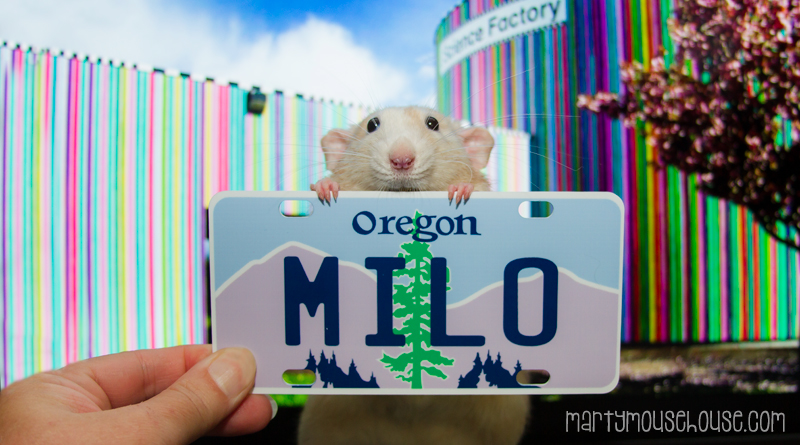 Oregon Bizness – Marty Mouse House