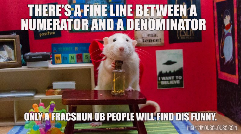 Math Humor – Marty Mouse House