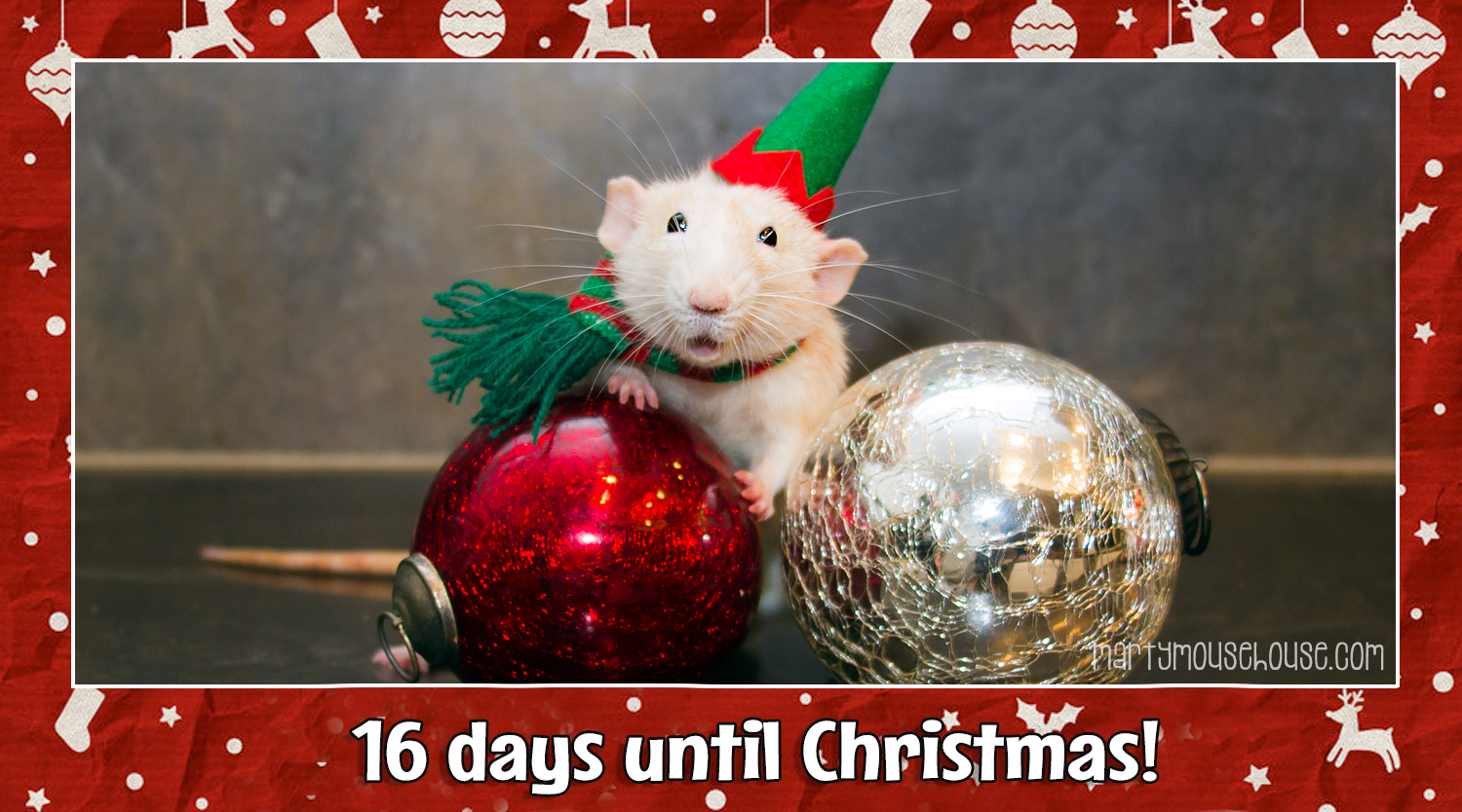 Countdown – Marty Mouse House