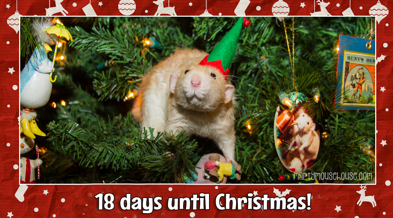 Countdown – Marty Mouse House