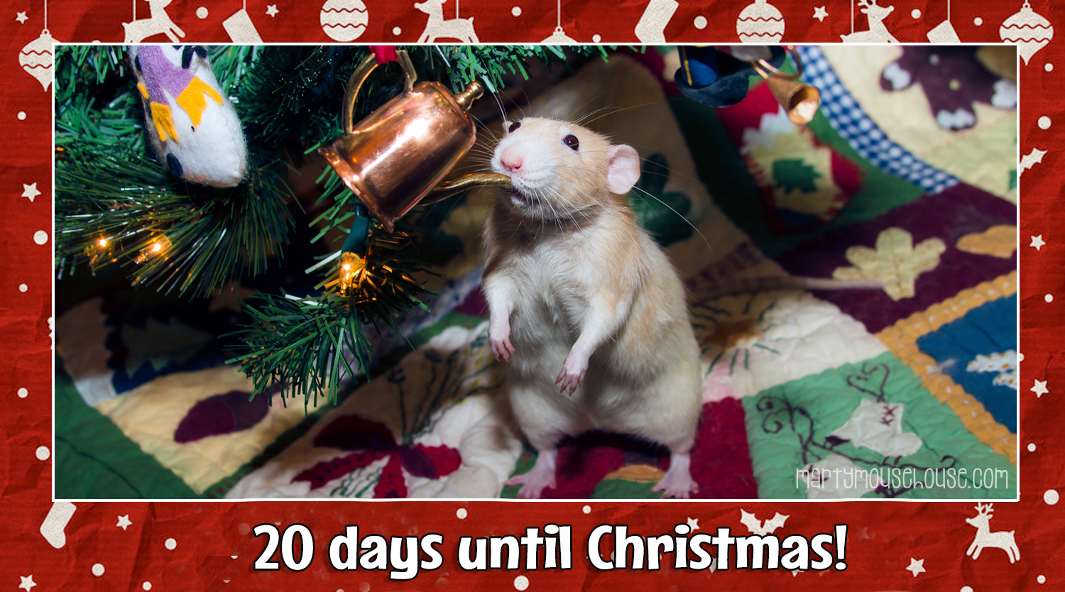 Countdown – Marty Mouse House