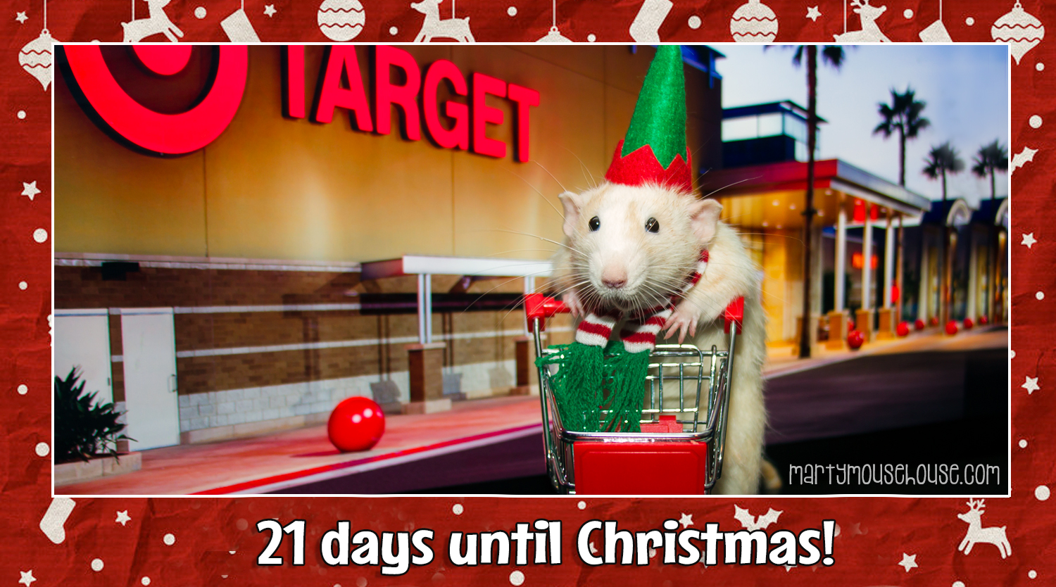 Countdown Begins! – Marty Mouse House