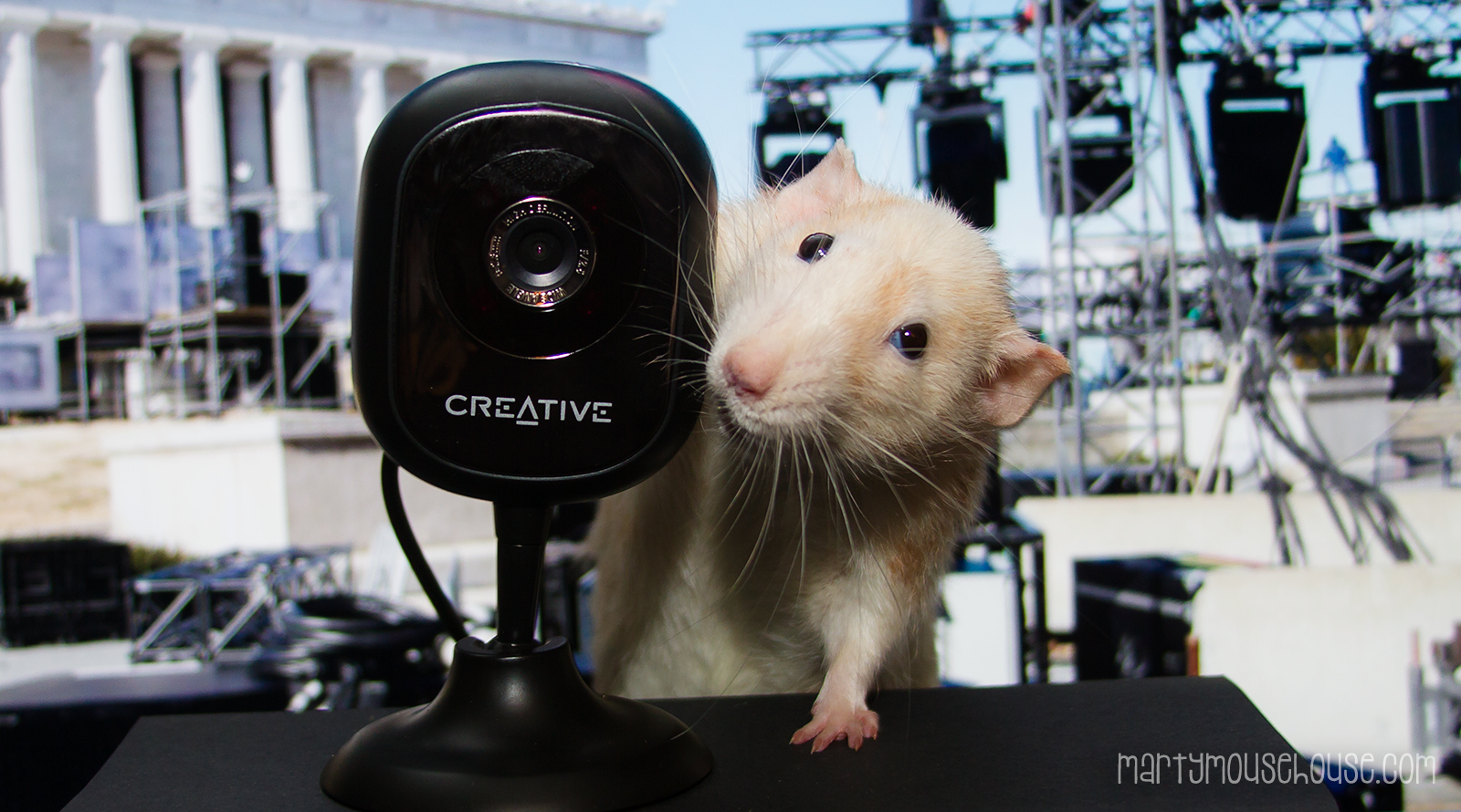 Lights…Cameras… – Marty Mouse House