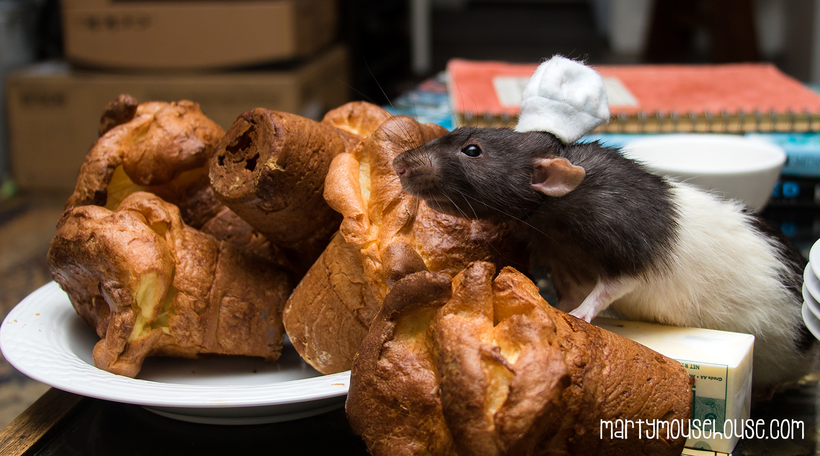Popping Popovers (part two) – Marty Mouse House
