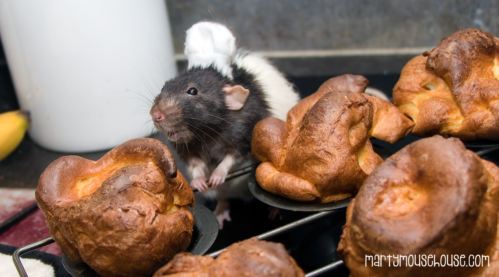 Popping Popovers (part two) – Marty Mouse House