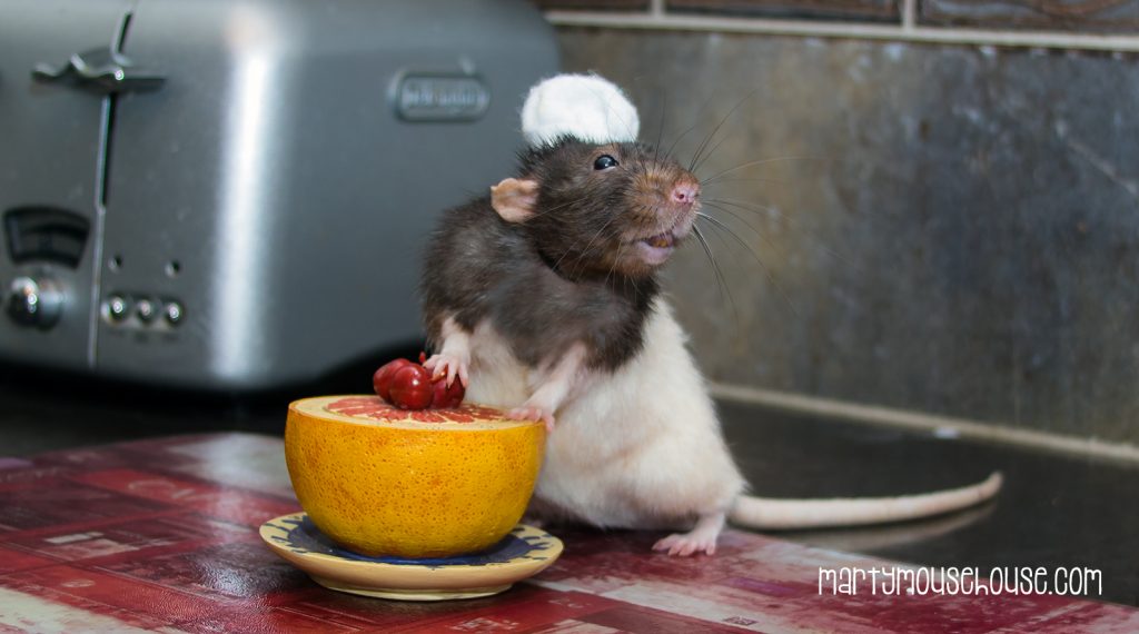 Wimbley Cookies Recipe (Part II) – Marty Mouse House