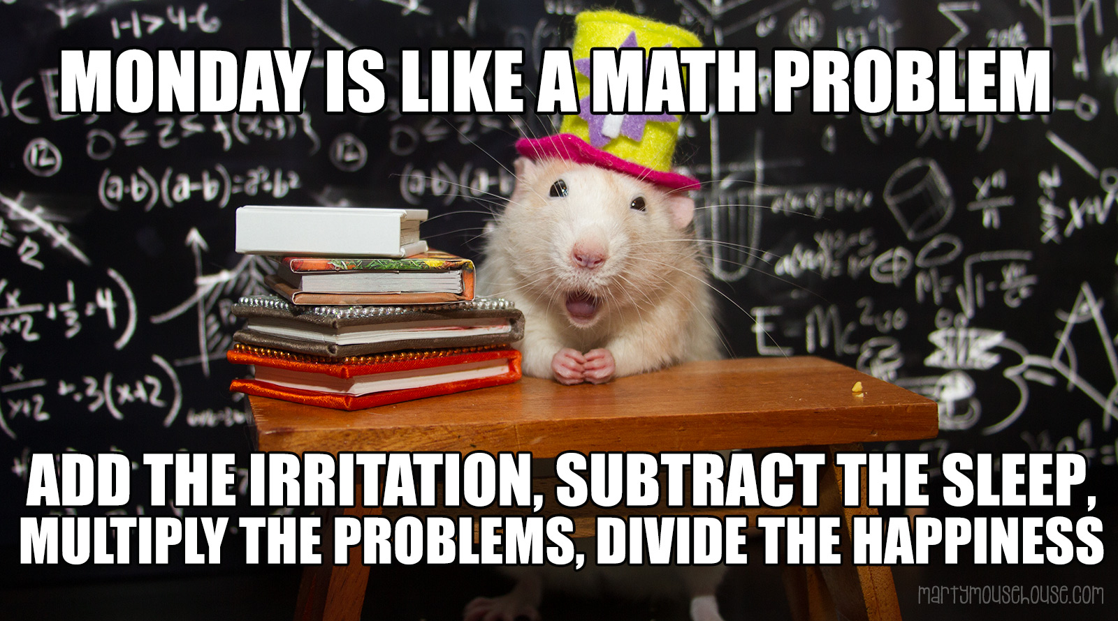 Milo Monday – Marty Mouse House