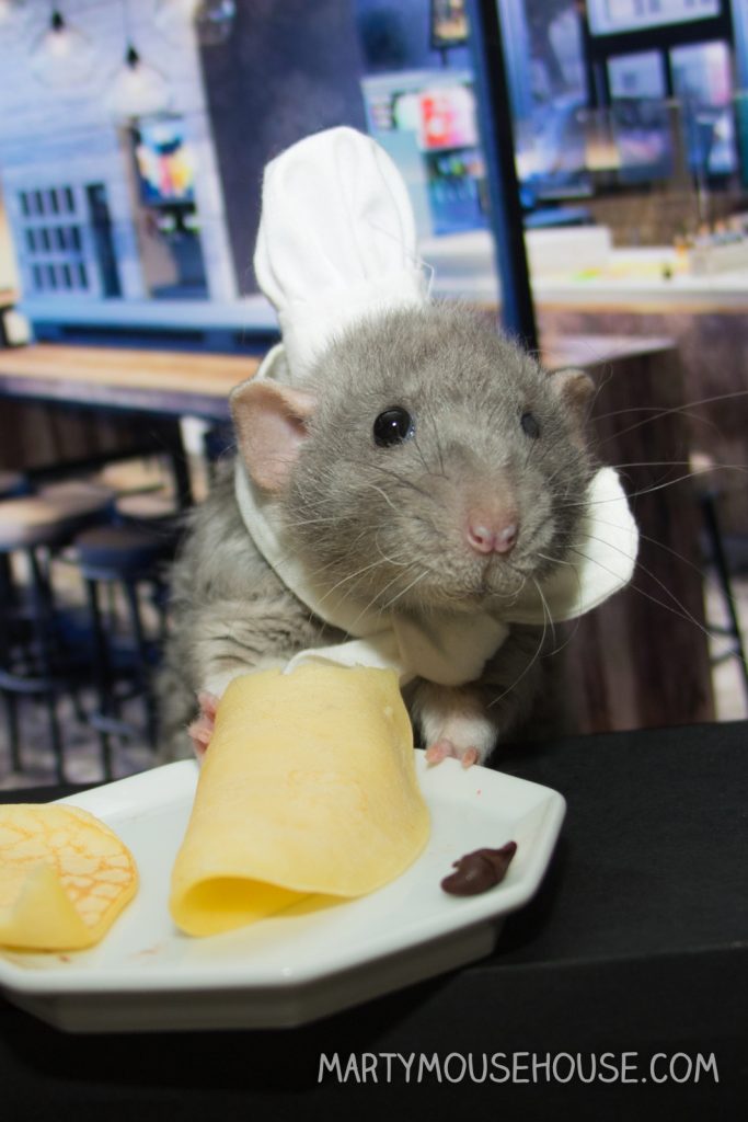 Crepes wiff Chef Steph – Marty Mouse House