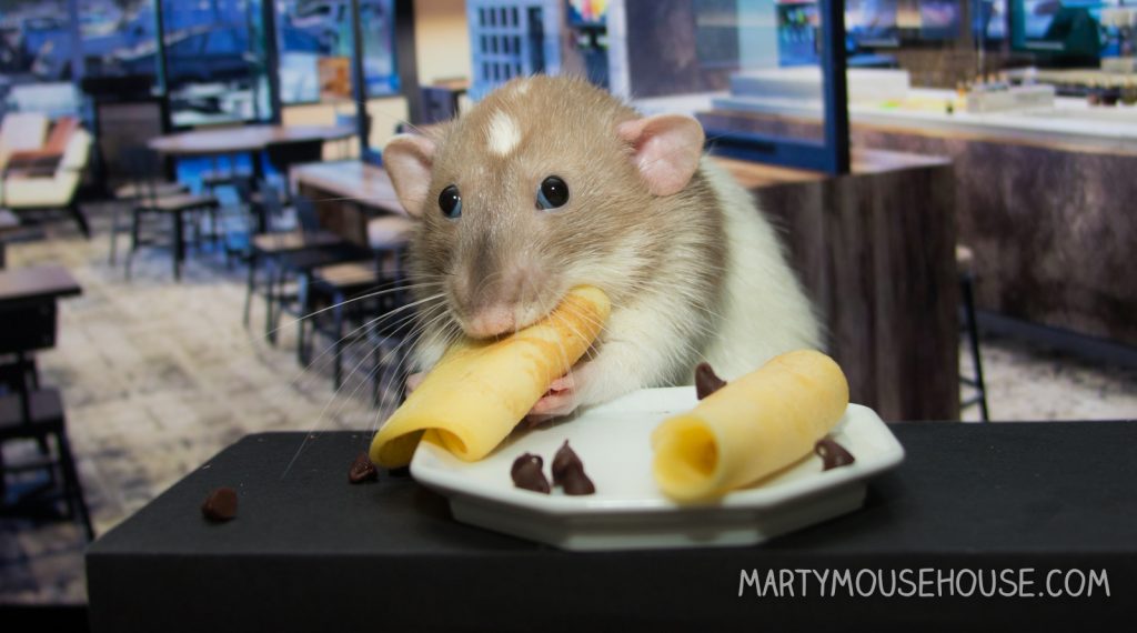 Crepes wiff Chef Steph – Marty Mouse House