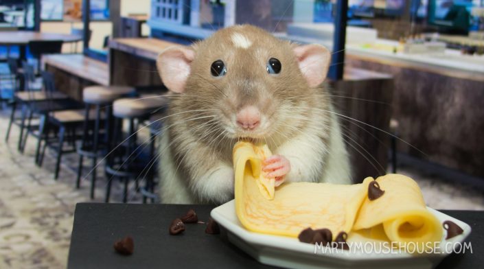 Crepes wiff Chef Steph – Marty Mouse House