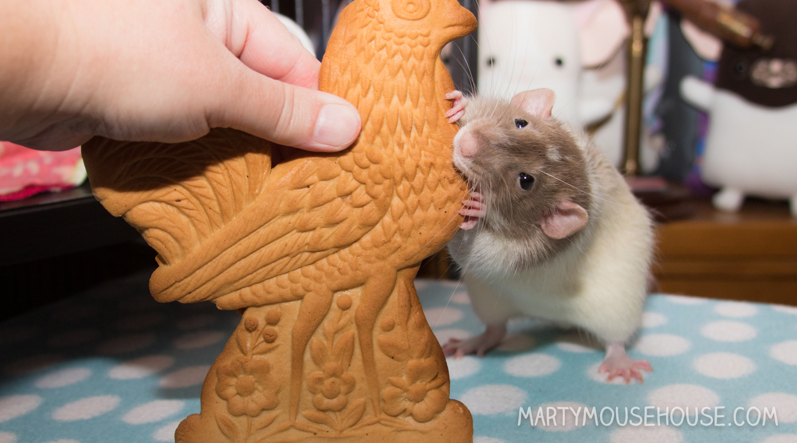 Bean vs. the Shady Chicken from Belgium – Marty Mouse House