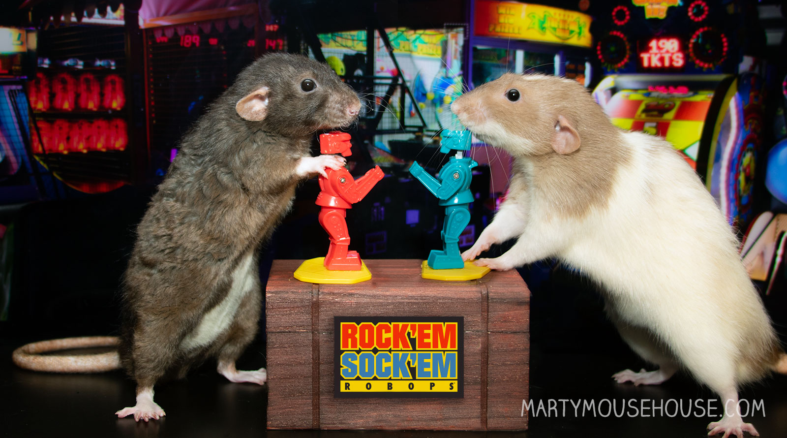 Robops Tournament – Marty Mouse House