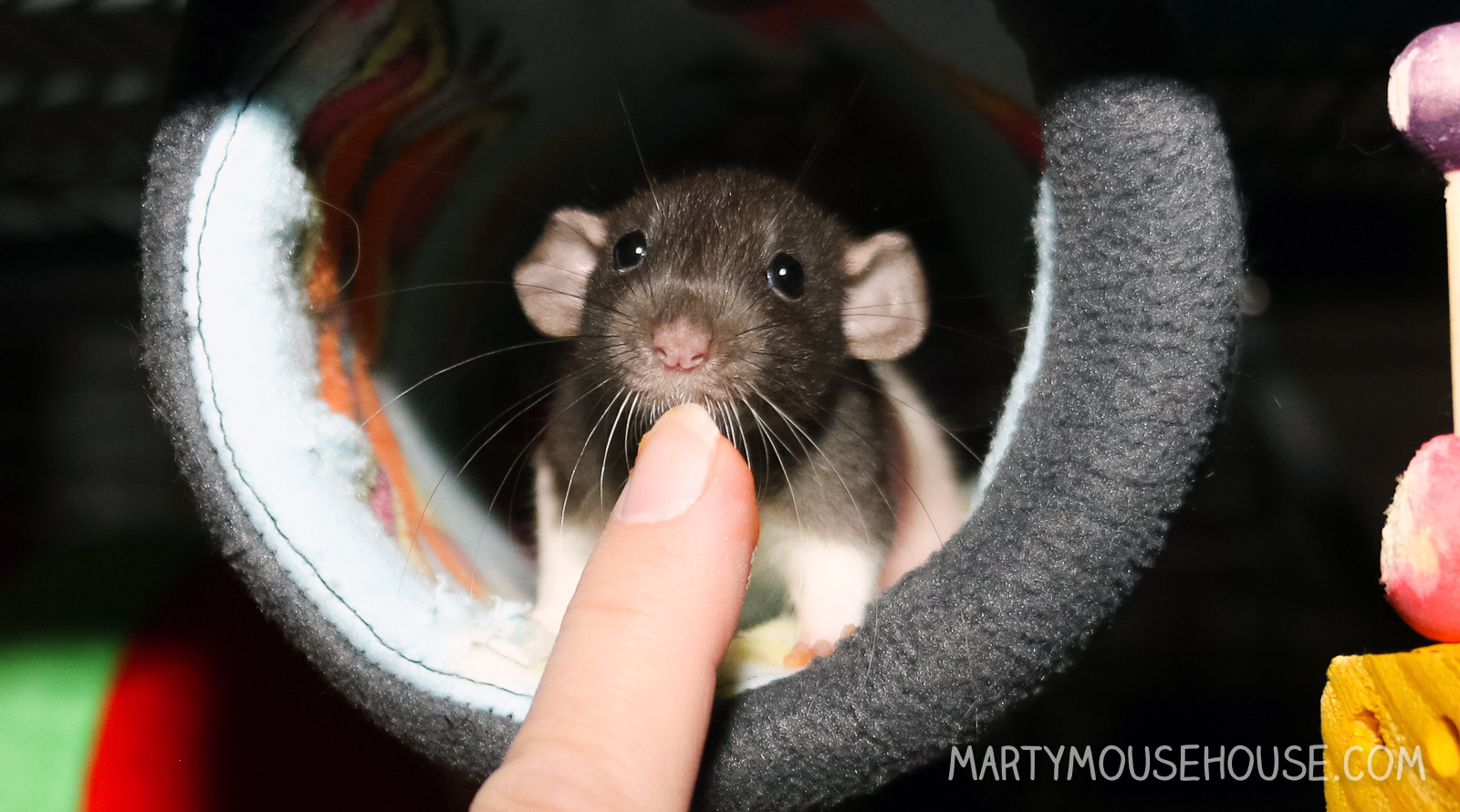 Sweet Potato Secret Snacker – Marty Mouse House