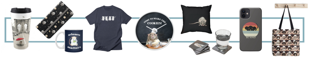 Marty Mouse House – The Happiest Place on the Internet