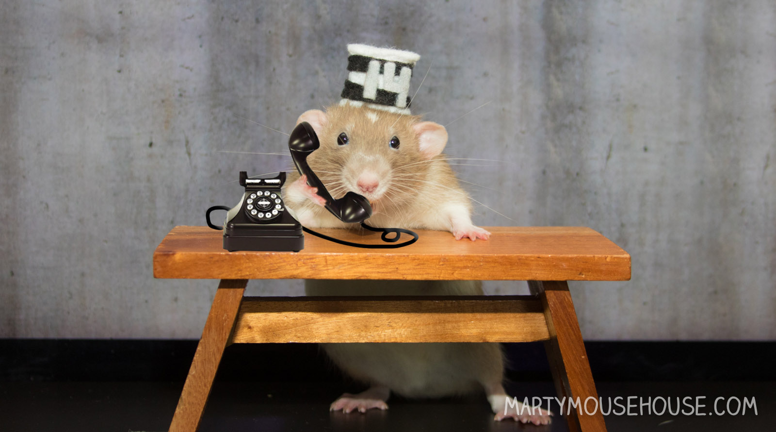 The Phone Call – Marty Mouse House