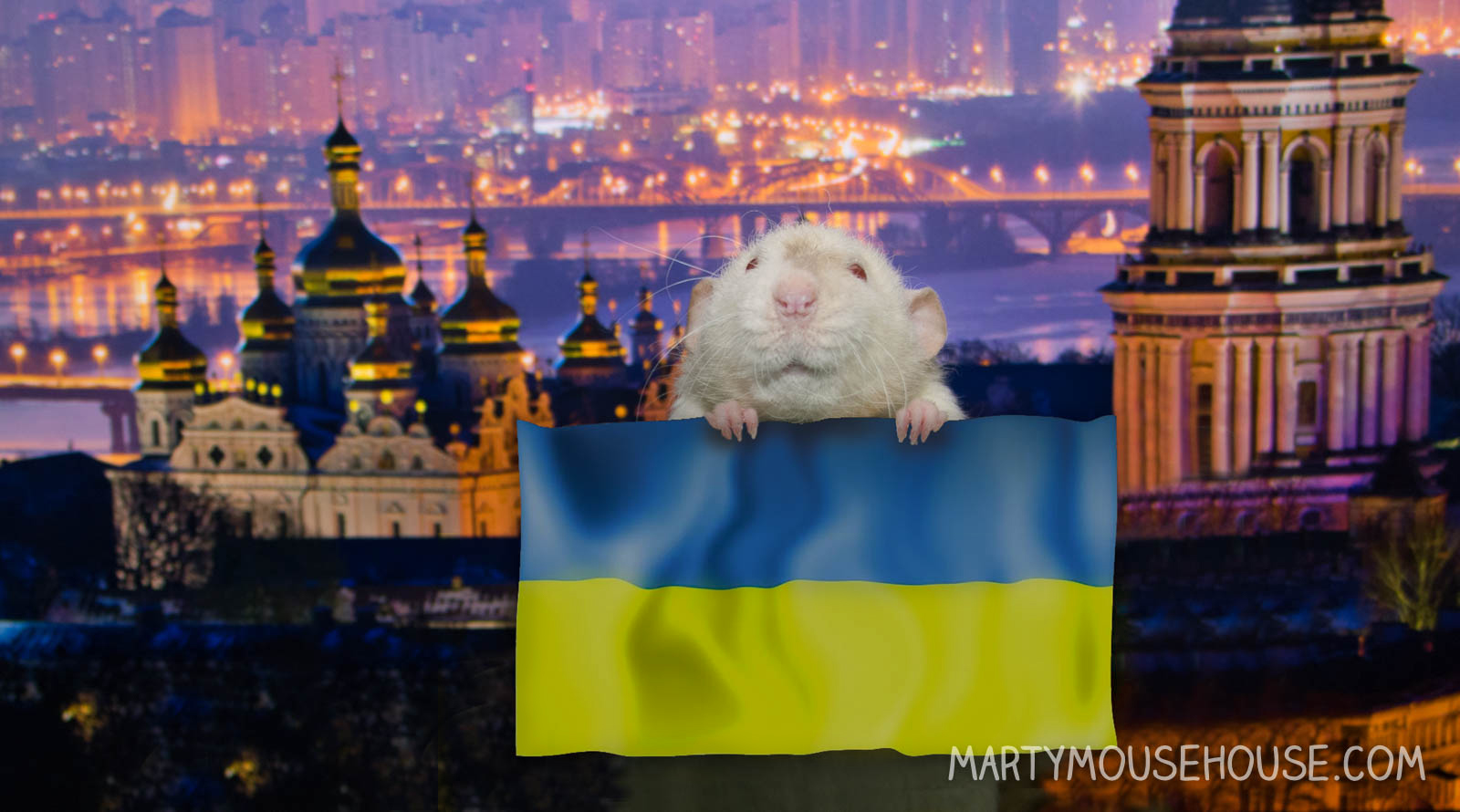My stance on Ukraine – Marty Mouse House