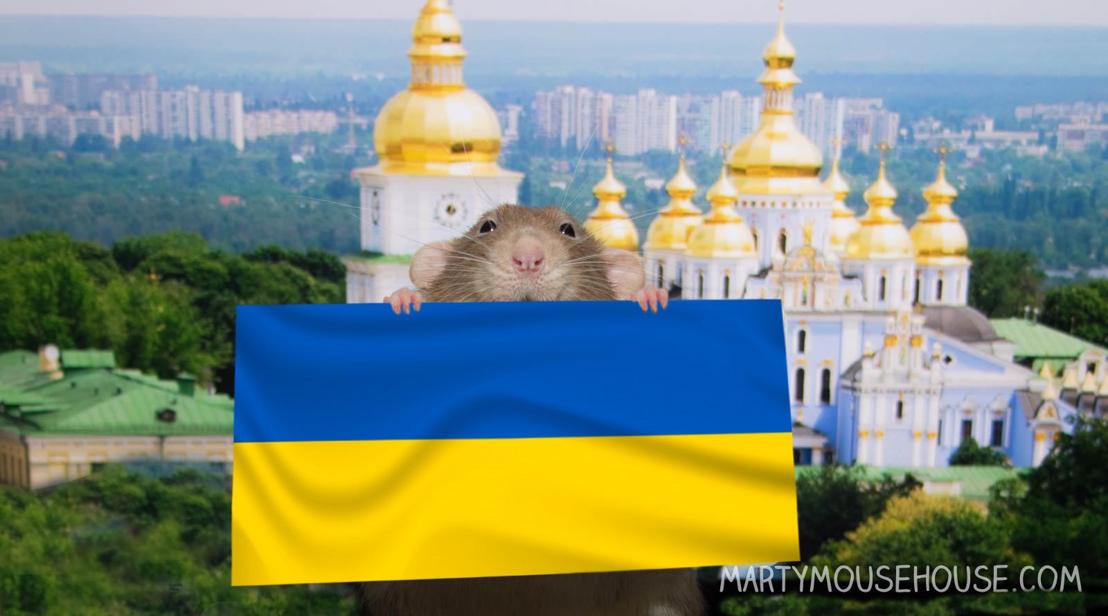 Ukraine – Marty Mouse House