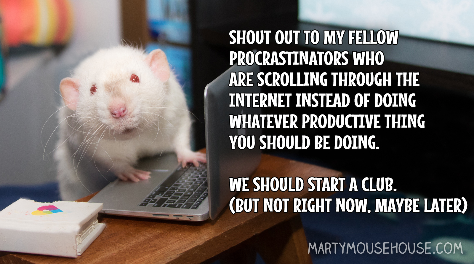 Procrastinators Club? – Marty Mouse House