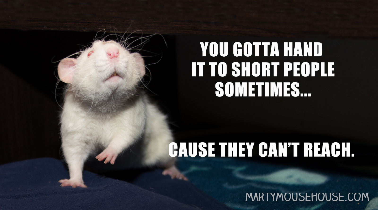 Be Helpful – Marty Mouse House