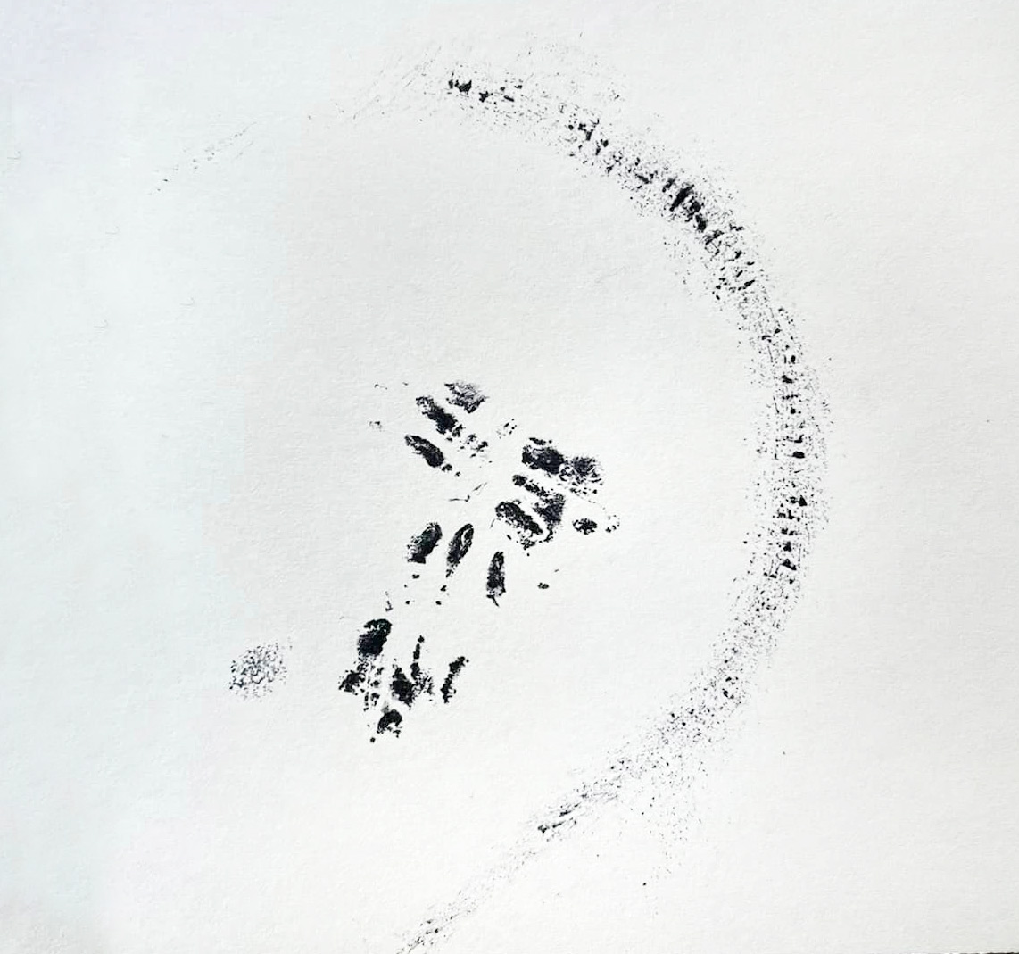 Tribute to Beez – Marty Mouse House