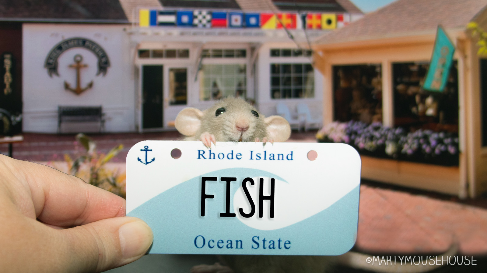 RI Bizness – Marty Mouse House