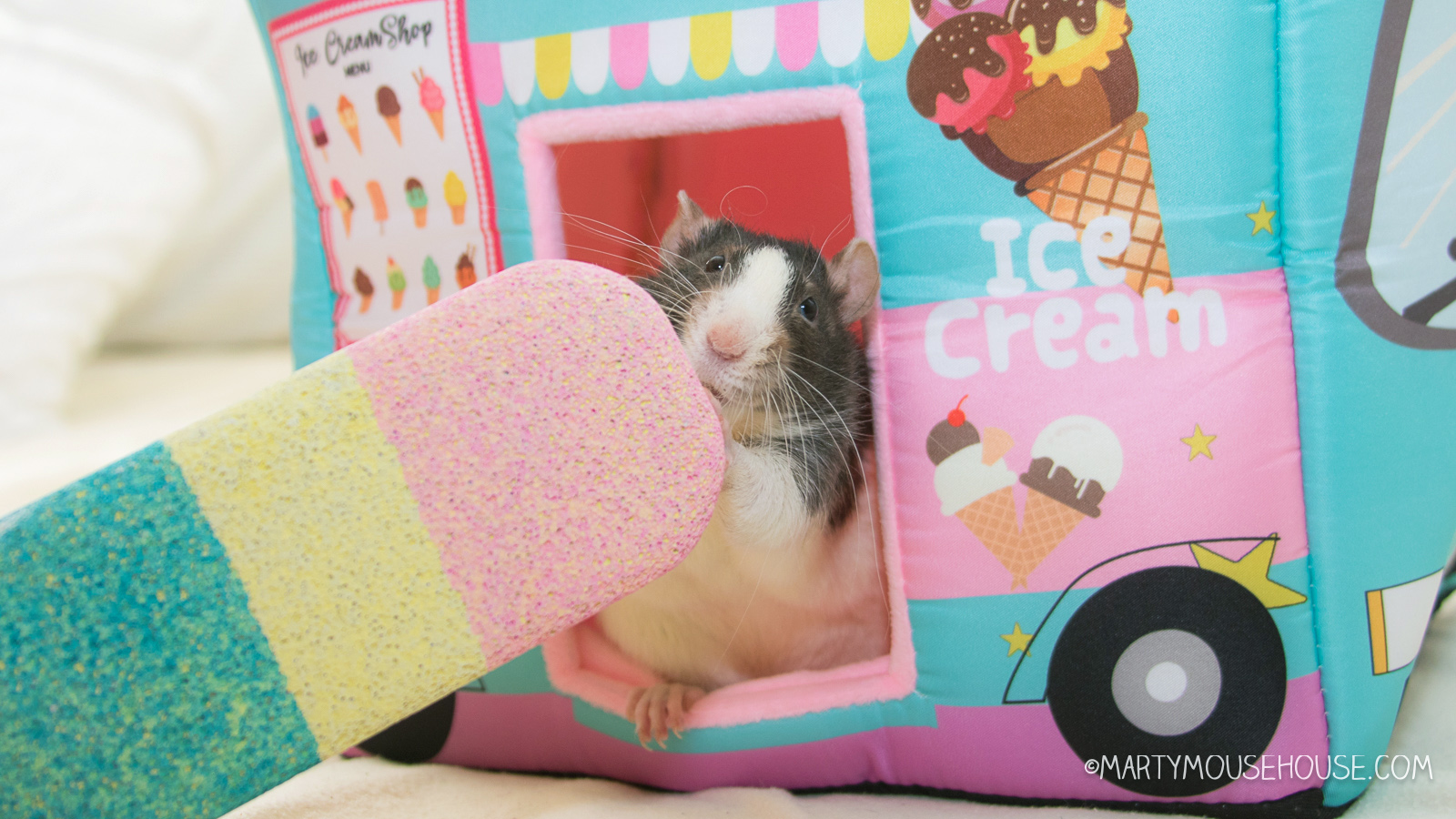 June Ratty Box – Marty Mouse House