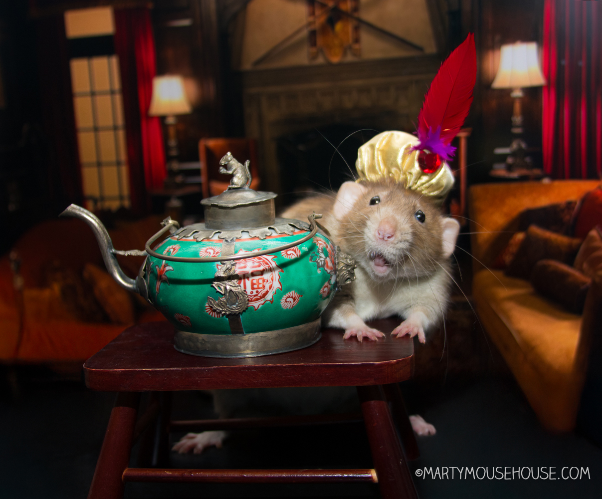 The Gibbing Teapot – Marty Mouse House