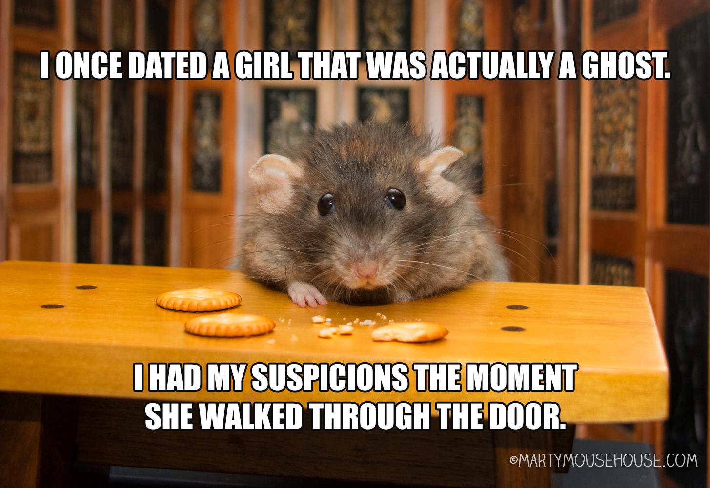 Halloweem Humor – Marty Mouse House