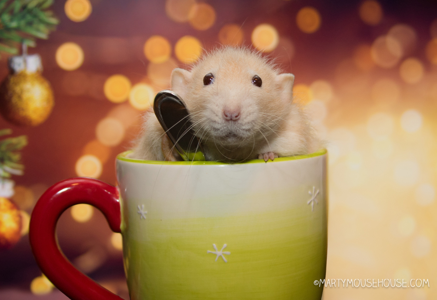 Christmas Ebe – Marty Mouse House