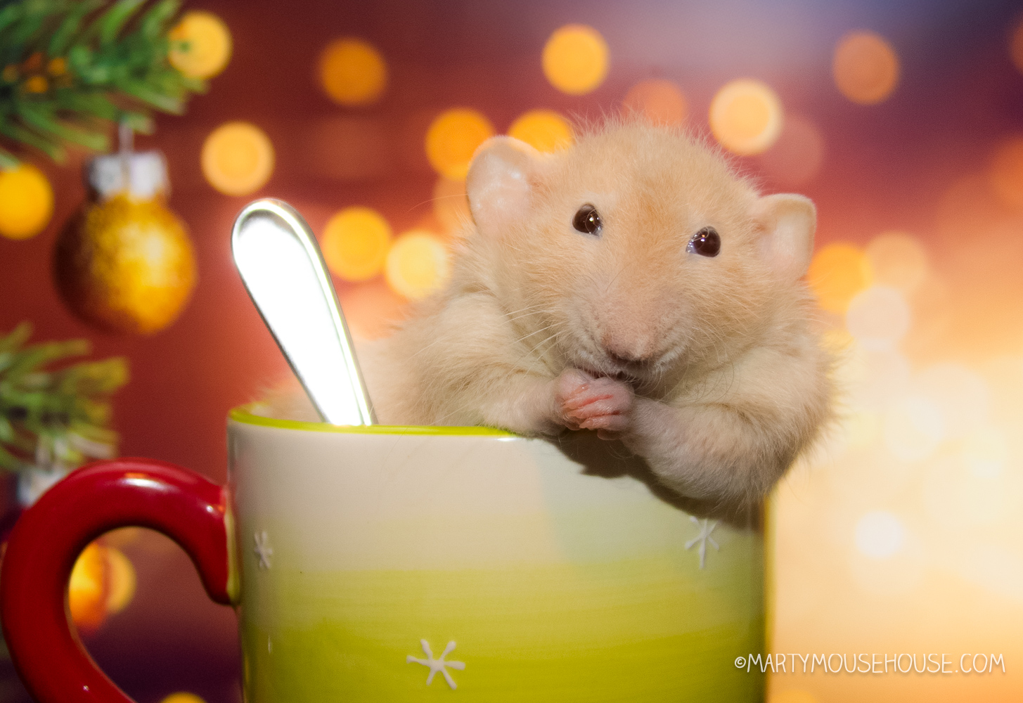 Christmas Ebe – Marty Mouse House